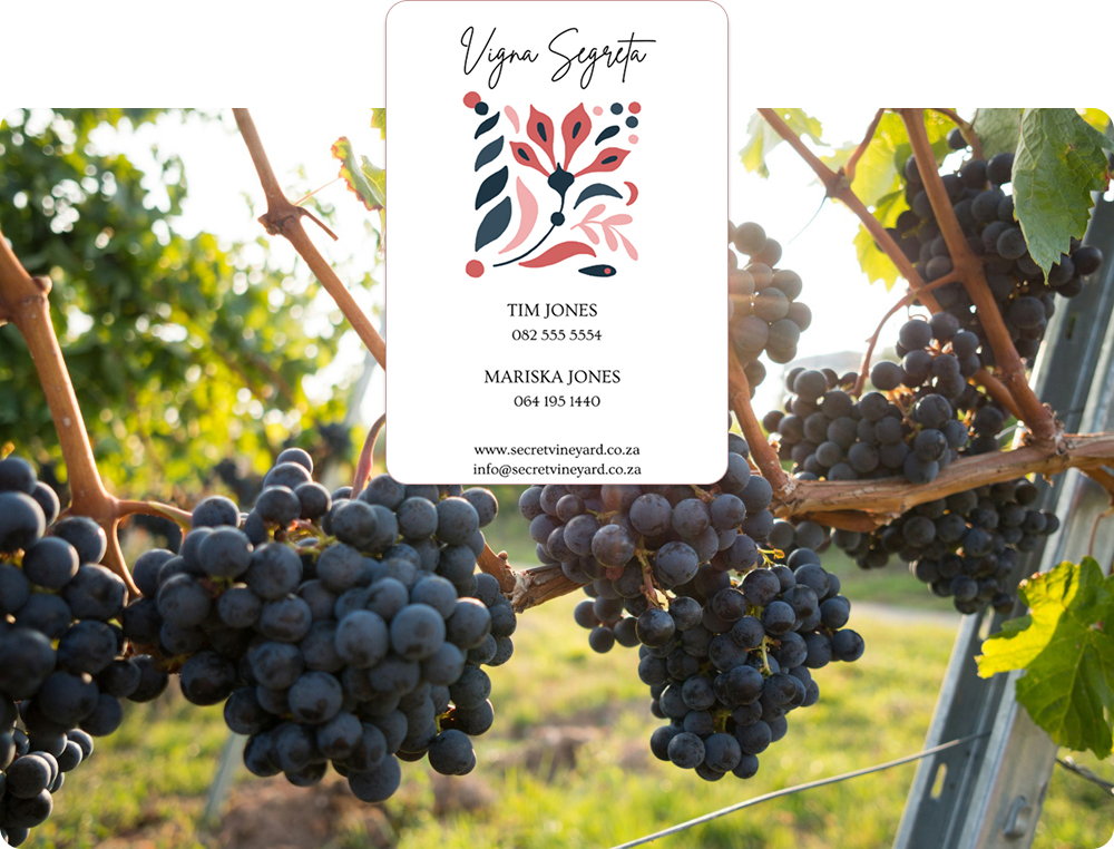 Vigna Segreta Secret Vineyard